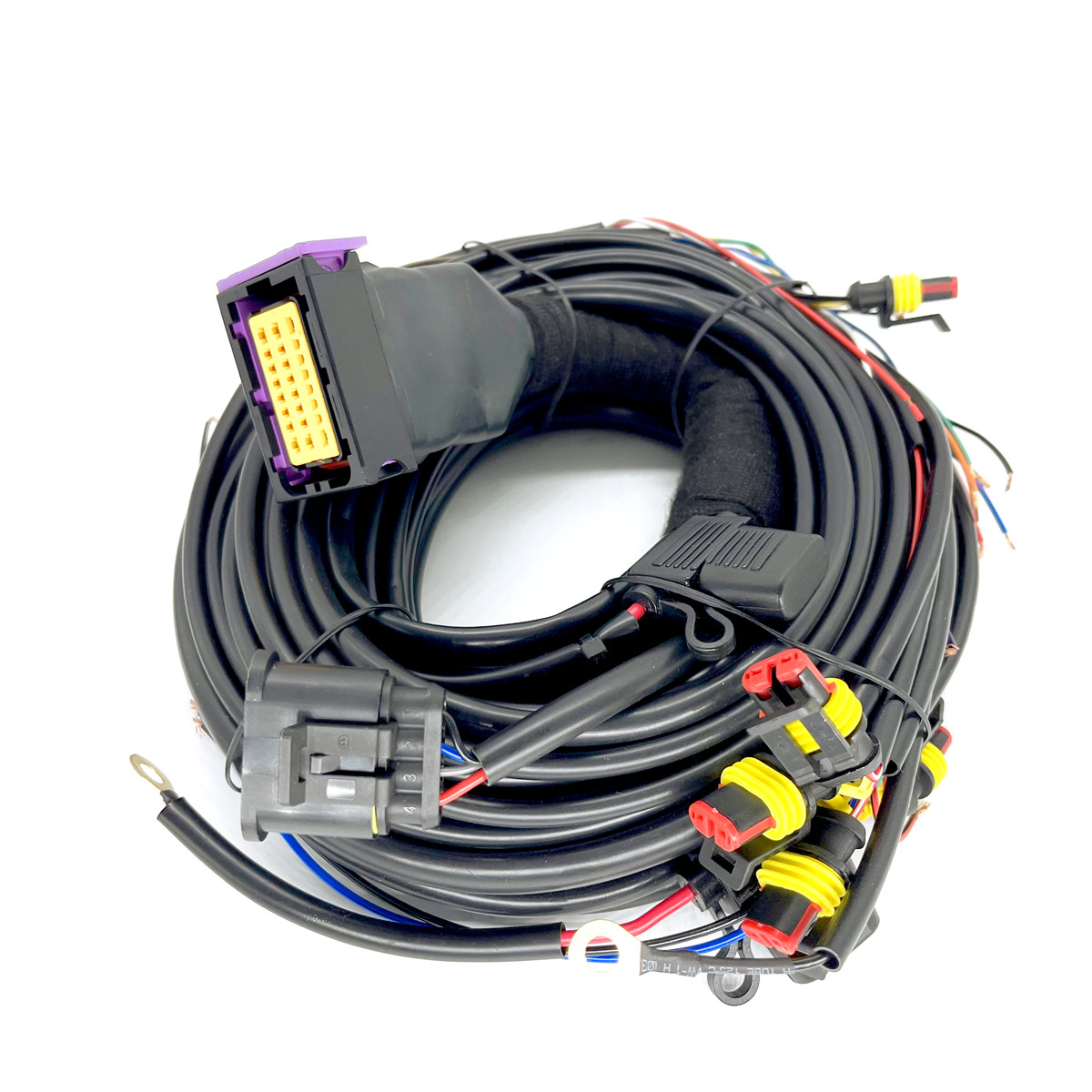 CNG LPG Sequential Injection 24 Pin Car Wiring Harness For 4 Cylinder ECU